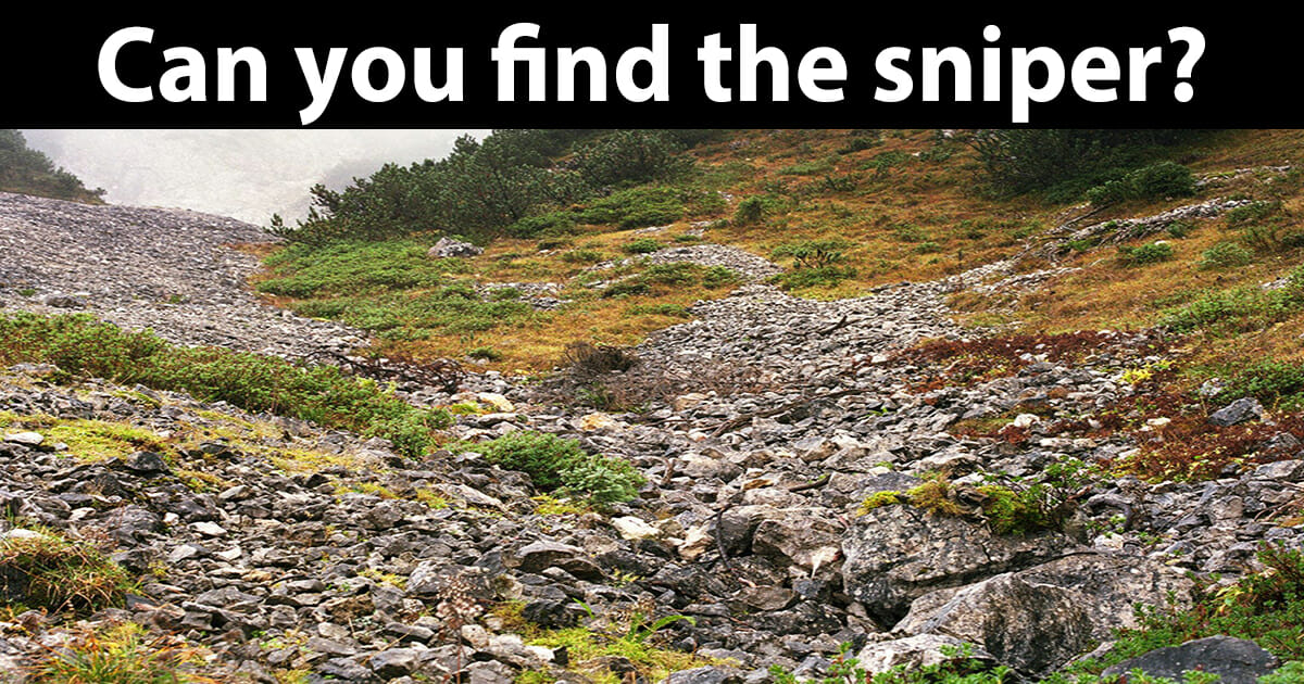 How sharp are your eyes? Spot the sniper in this picture - Regular Humor