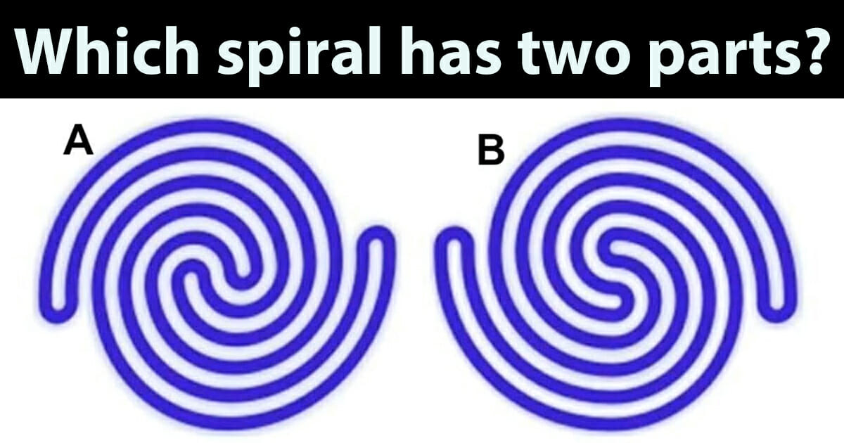 This test makes people dizzy: Which of these spirals has two parts ...