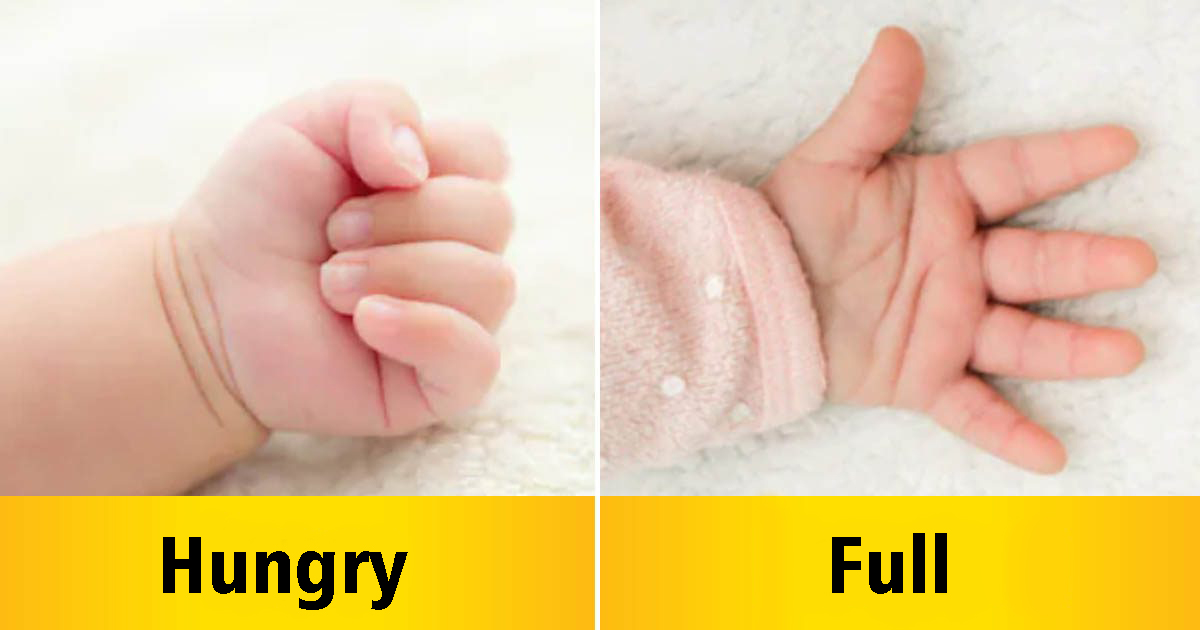 7 Explanations To Your Baby’s Body Language According To Experts