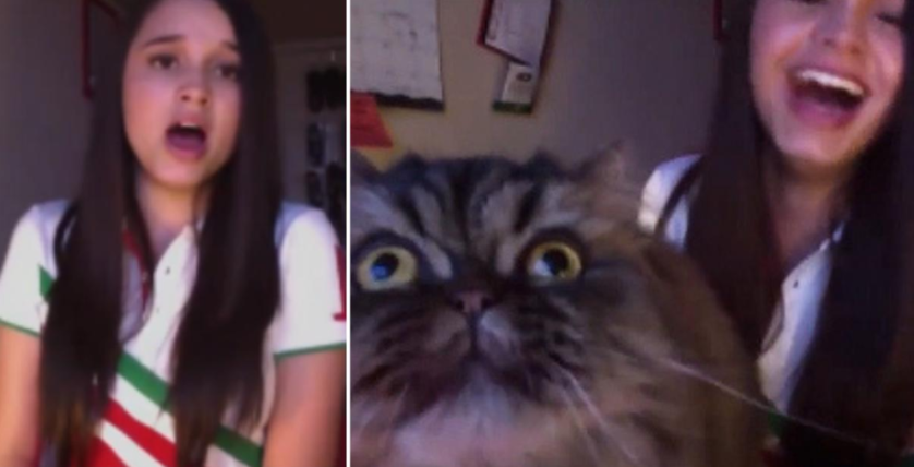 Singer Is 'Upstaged' By Her Own 'Diva' Cat And The Internet Loves It