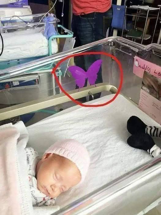 If You See A Purple Butterfly Sticker Near A Newborn, You Need To Know ...