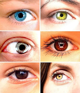 Scientists Discover The Connection Between Eye Color and Personality